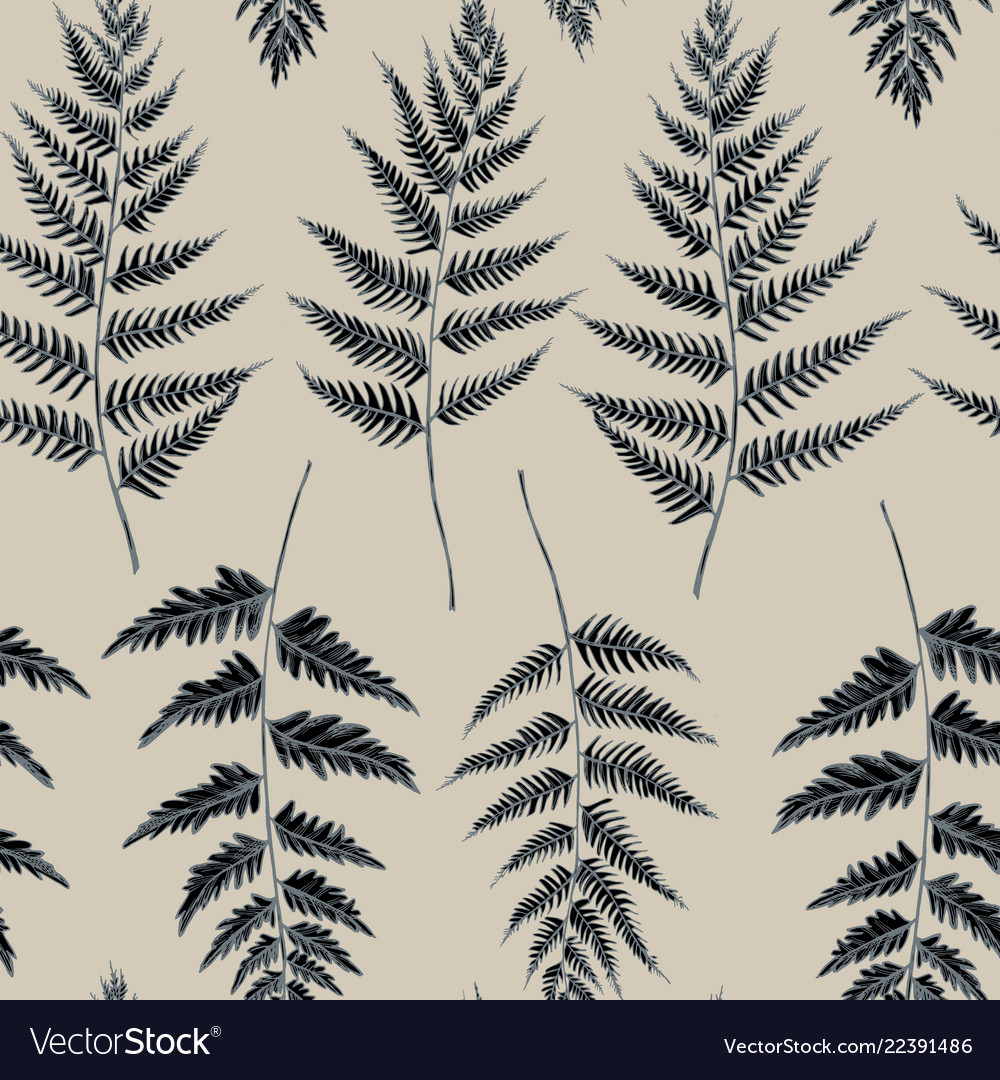 Seamless pattern fern leaves hand drawn Royalty Free Vector