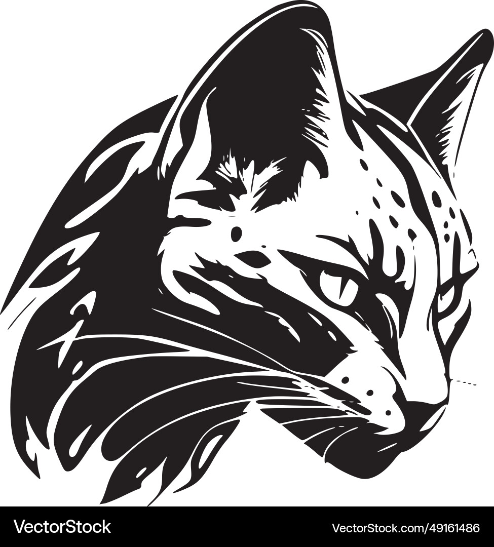 Wildcat - black and white isolated icon Royalty Free Vector