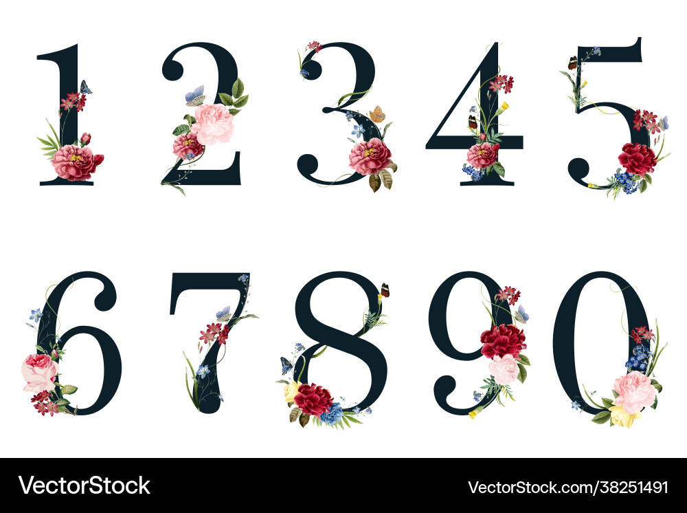 Botanical numbers with tropical flowers Royalty Free Vector
