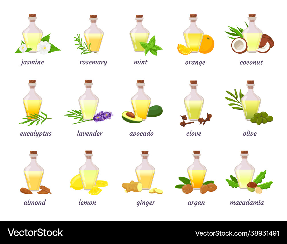 Cosmetic essential oil bottle with herb fruit Vector Image