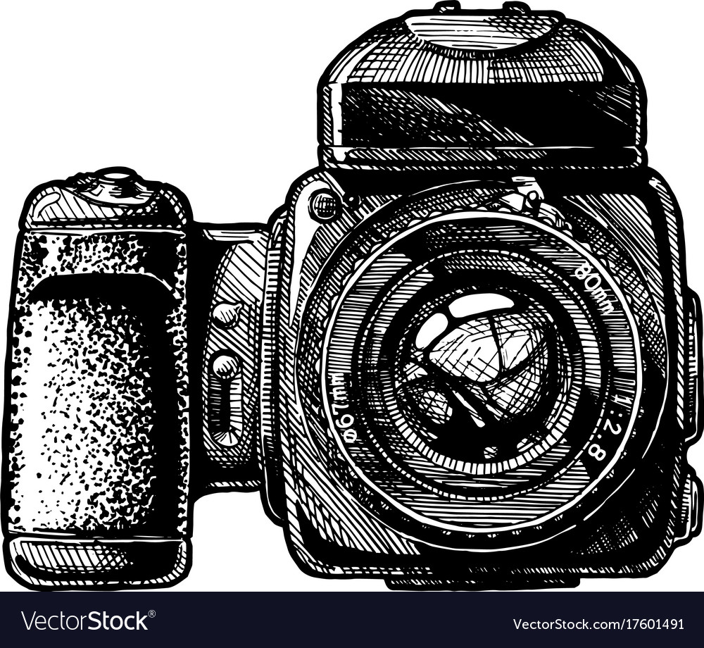 Medium format camera Royalty Free Vector Image