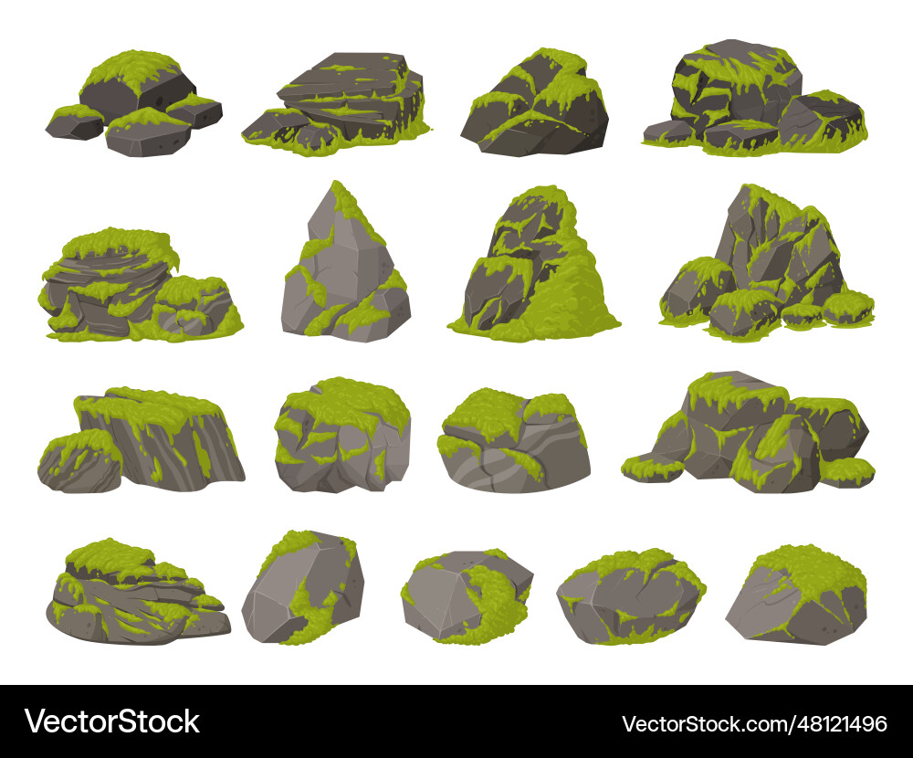 Cartoon moss on stones jungle moss plants grows Vector Image