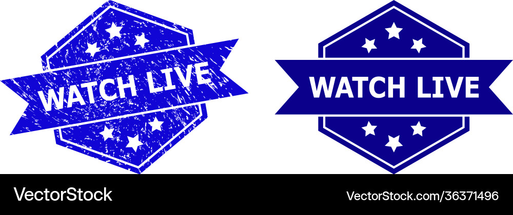 Hexagon watch live watermark with grunged texture Vector Image