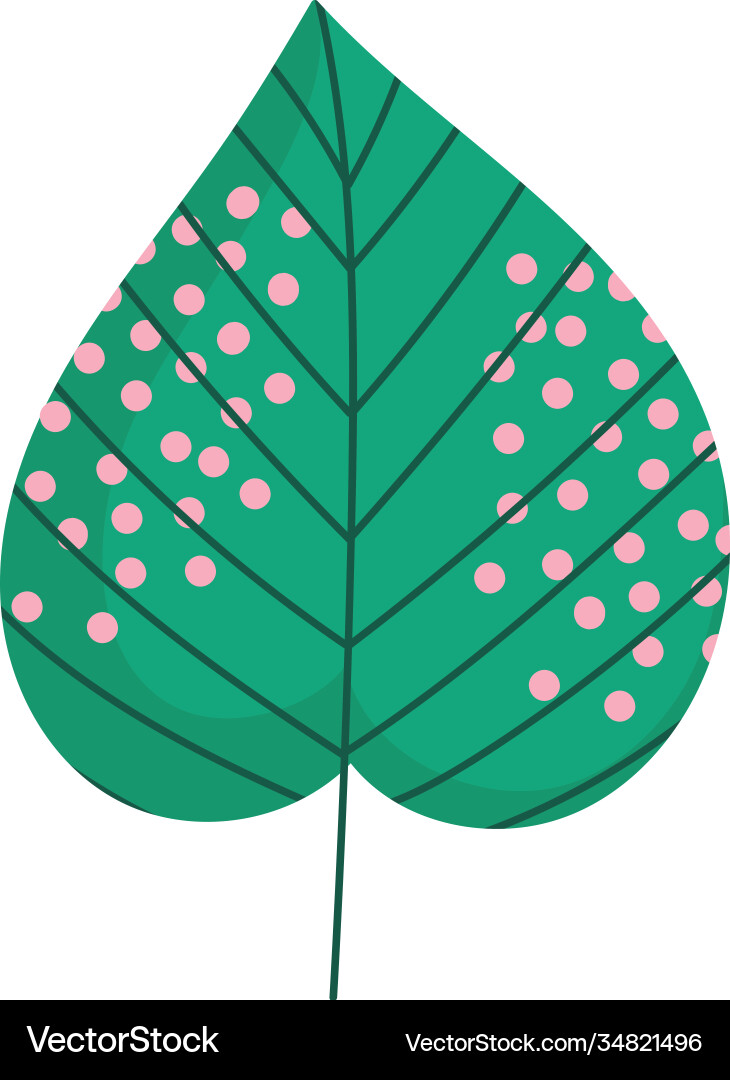 Leaf nature foliage decoration dots icon on white Vector Image