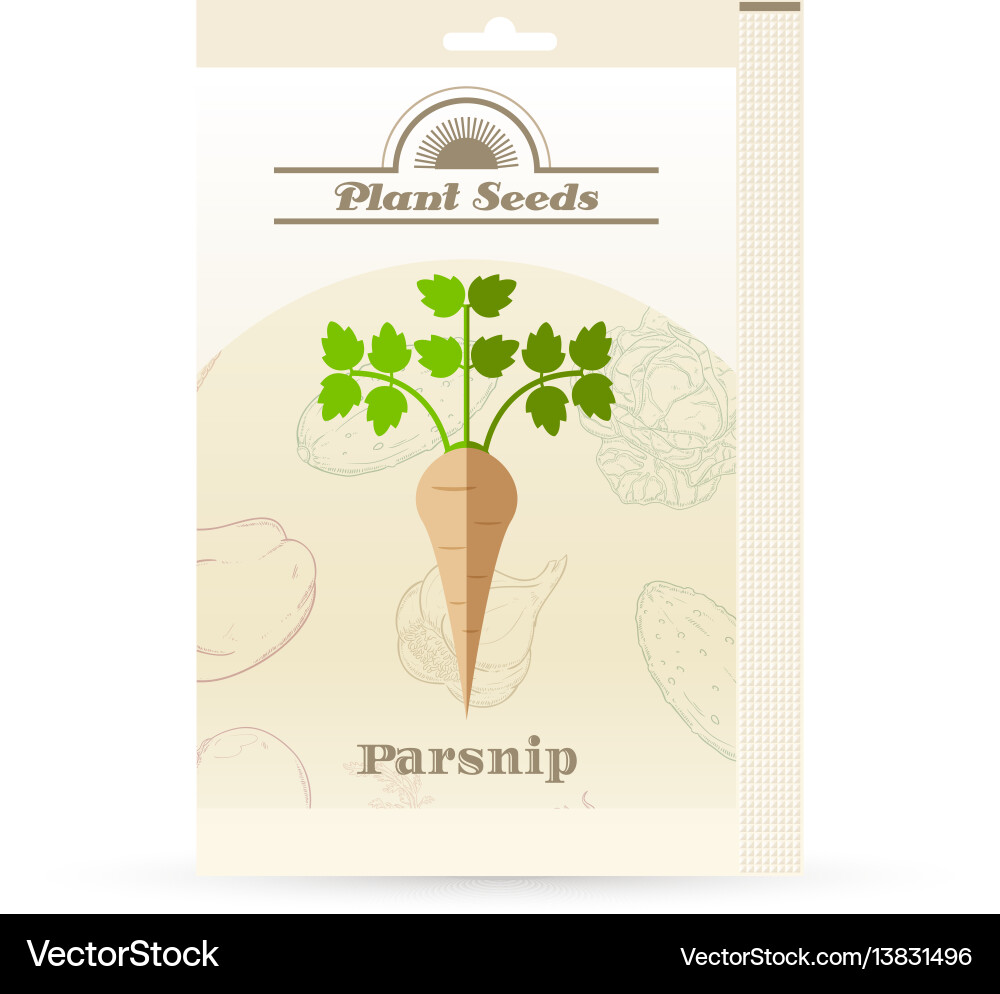 Pack of parsnip seeds icon Royalty Free Vector Image
