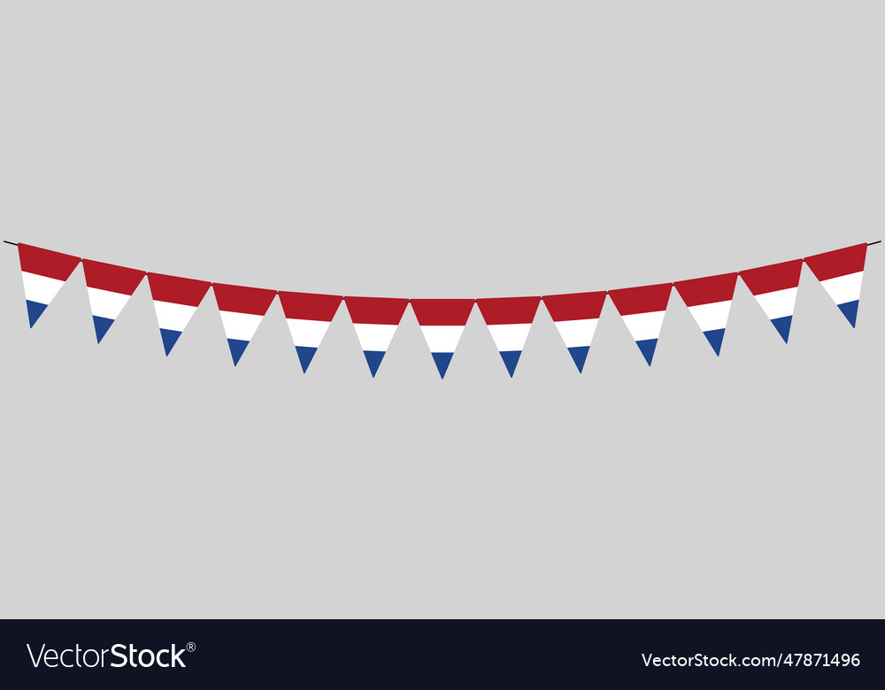 String of triangular flags for outdoor party Vector Image