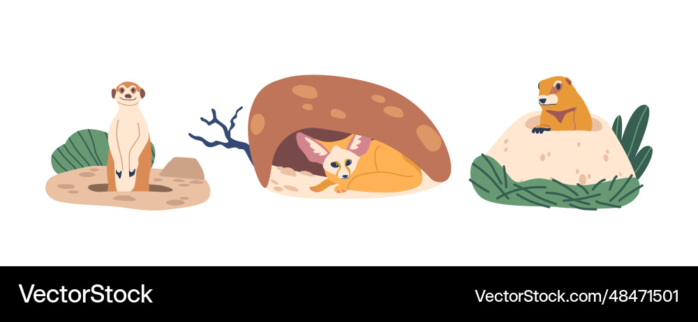 Burrowing animals like fennec desert-dwelling fox Vector Image