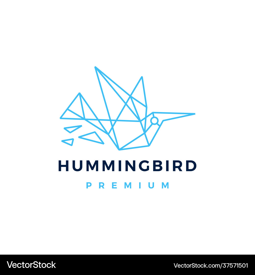 Hummingbird colibri geometric polygonal tech logo Vector Image
