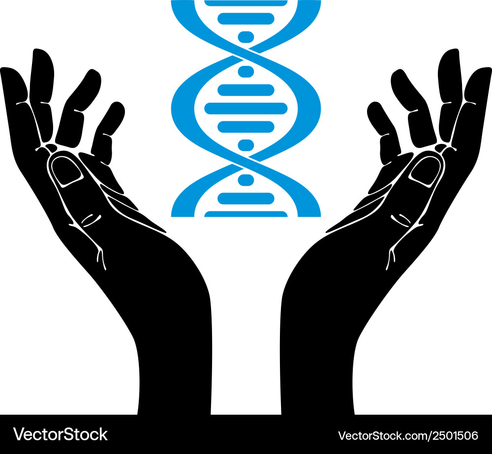 Hands holding dna strand symbol Royalty Free Vector Image