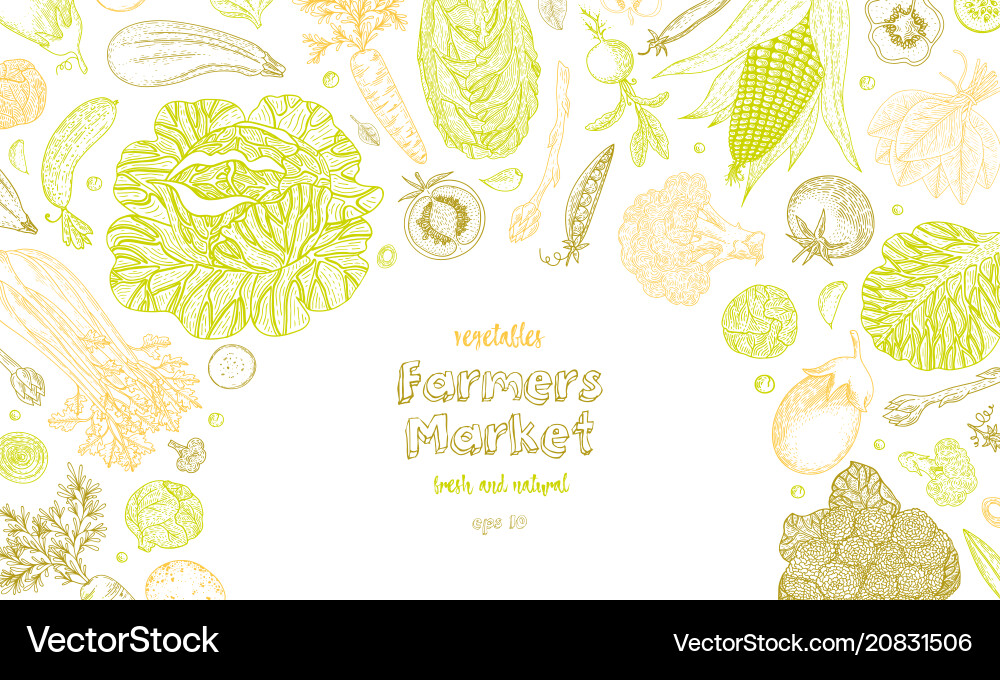 Vegetarian background with natural organic Vector Image