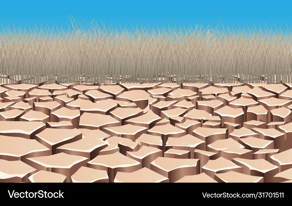 Landscape dry grass on soil in rive Royalty Free Vector