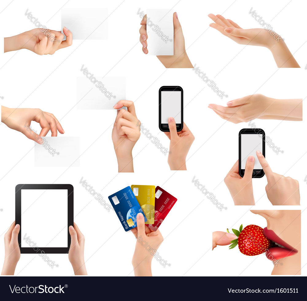 Set of hands holding different business objects Vector Image