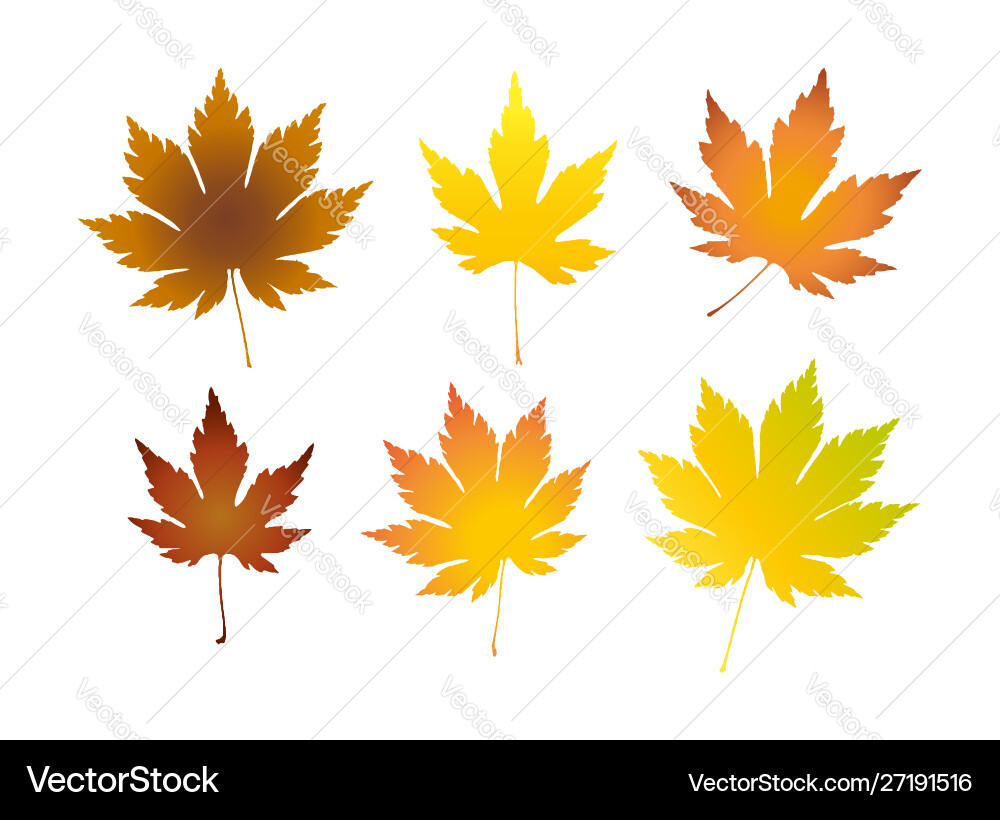 Set colorful autumn leaves Royalty Free Vector Image