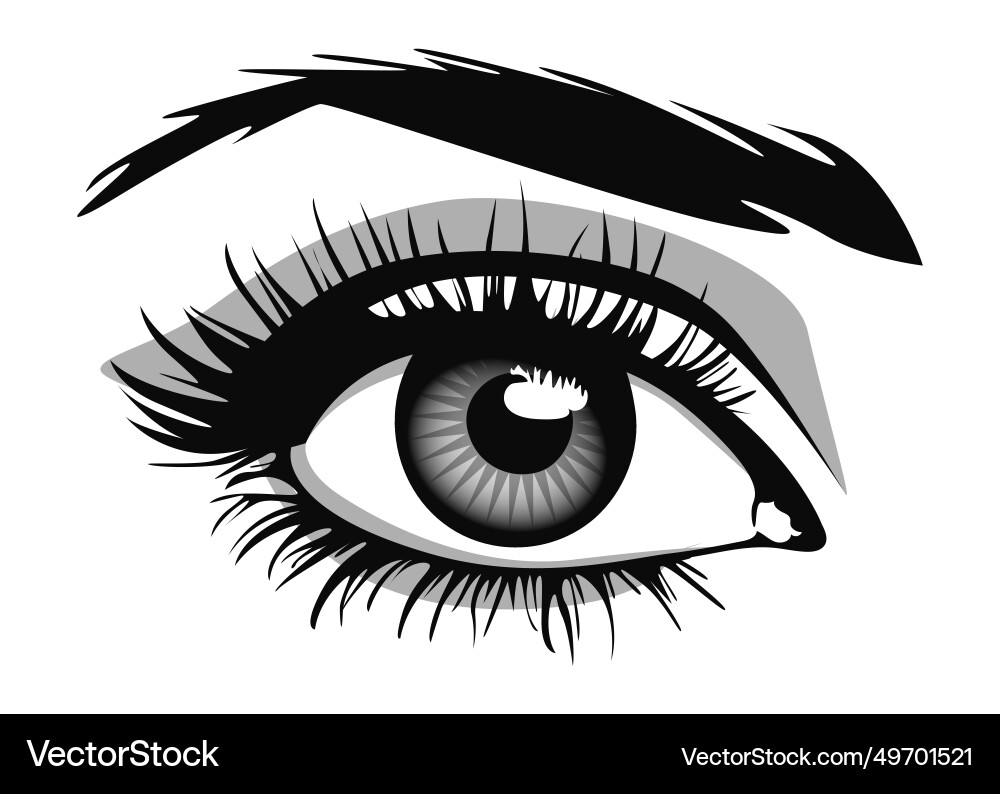 Beautiful female eye with big lashes and eyebrows Vector Image