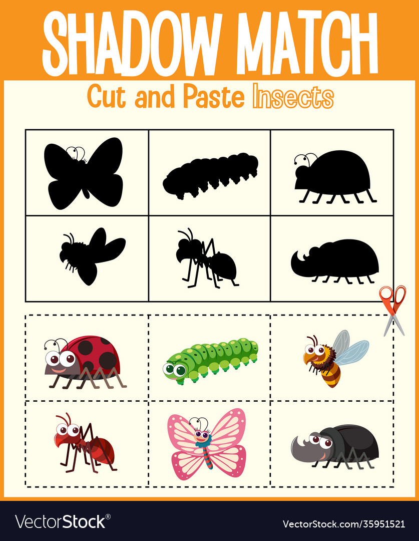 Find correct shadow match worksheet Royalty Free Vector