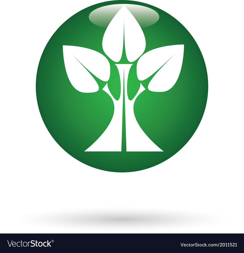 Green c k Royalty Free Vector Image - VectorStock