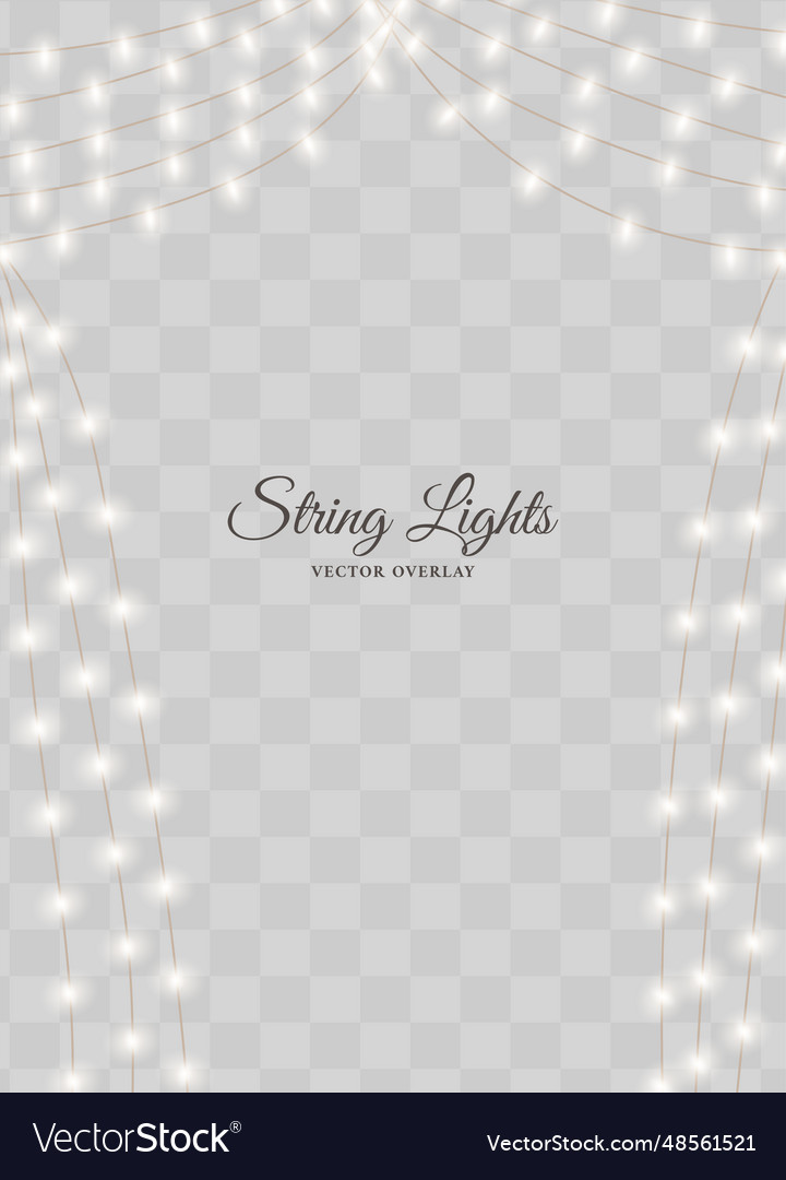Twinkling fairy string lights overlay light Vector Image