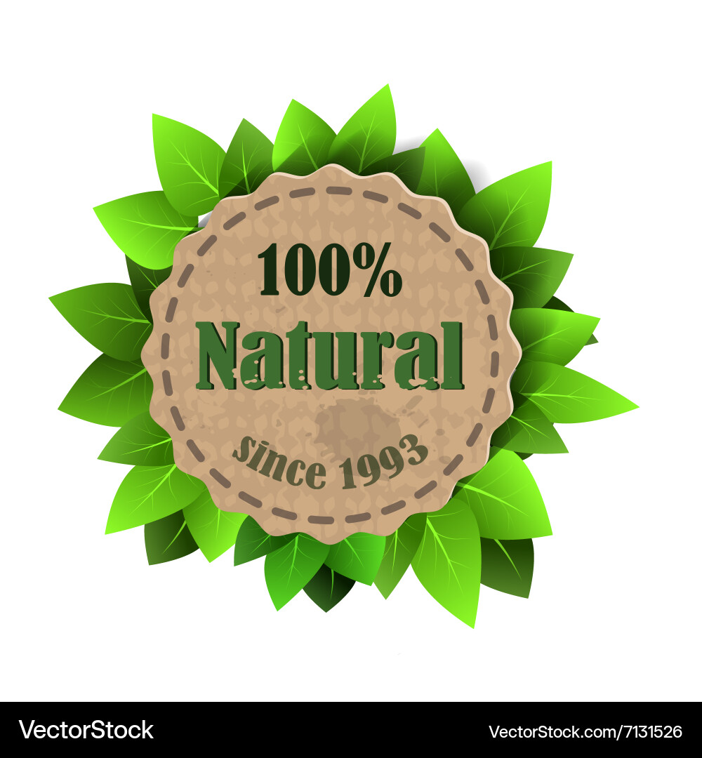Eco friendly paper template banner Royalty Free Vector Image