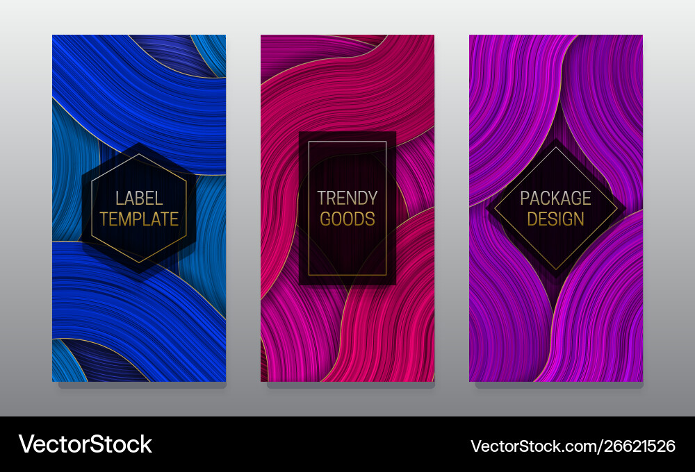 Luxury packaging design set colorful labels Vector Image