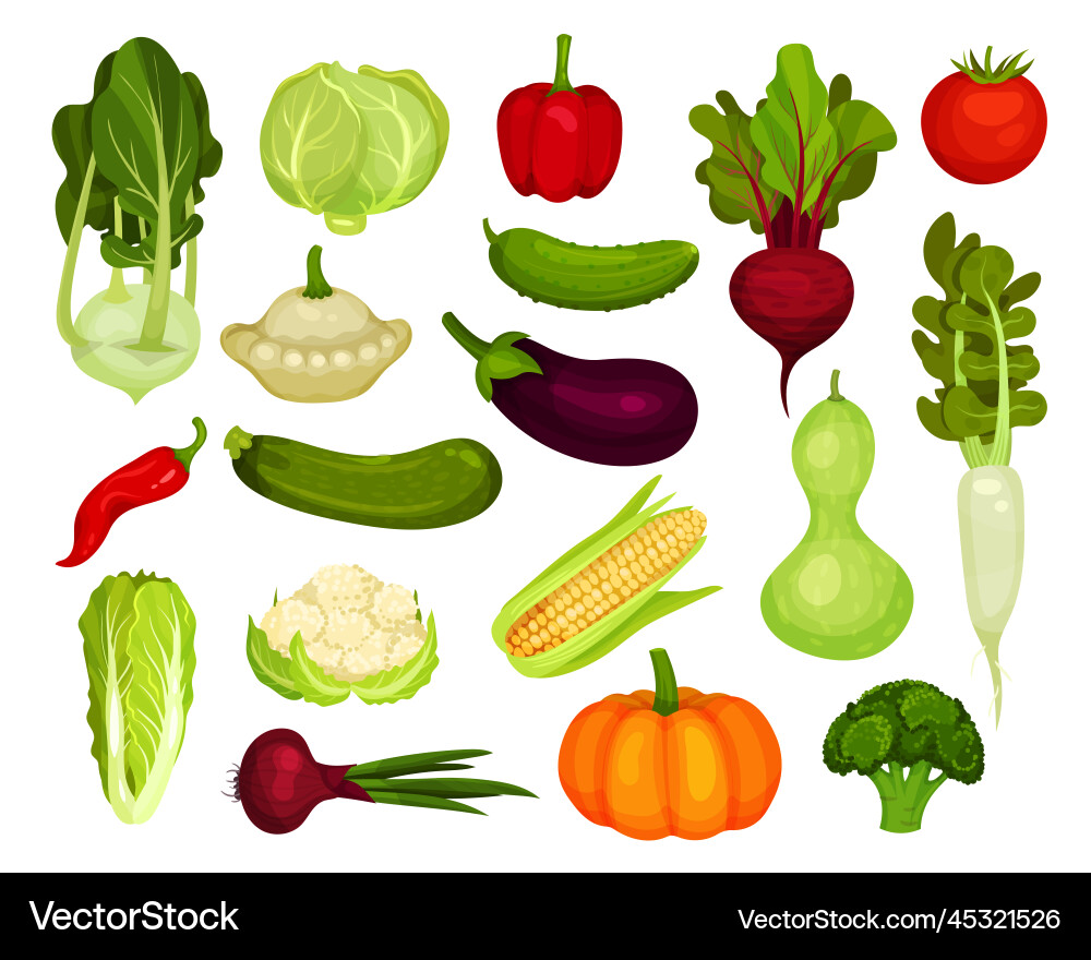 Set of different vegetables fresh organic Vector Image
