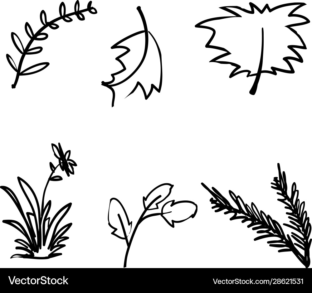 Floral decoration line icon doodle Royalty Free Vector Image