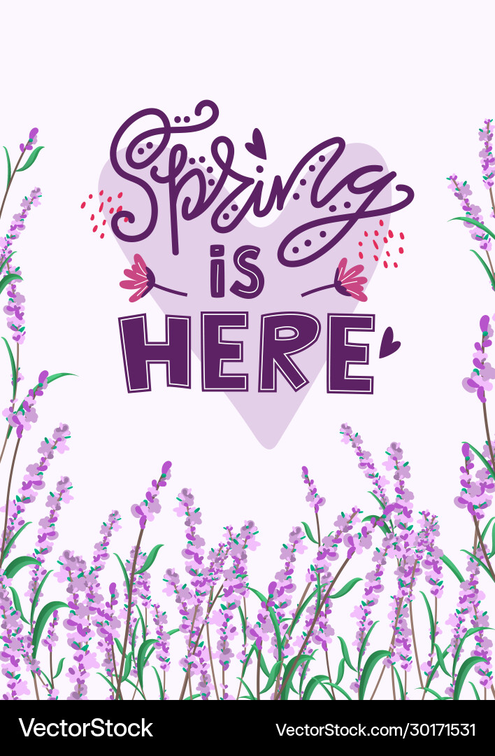 Lavender flowers and spring welcoming ad text Vector Image