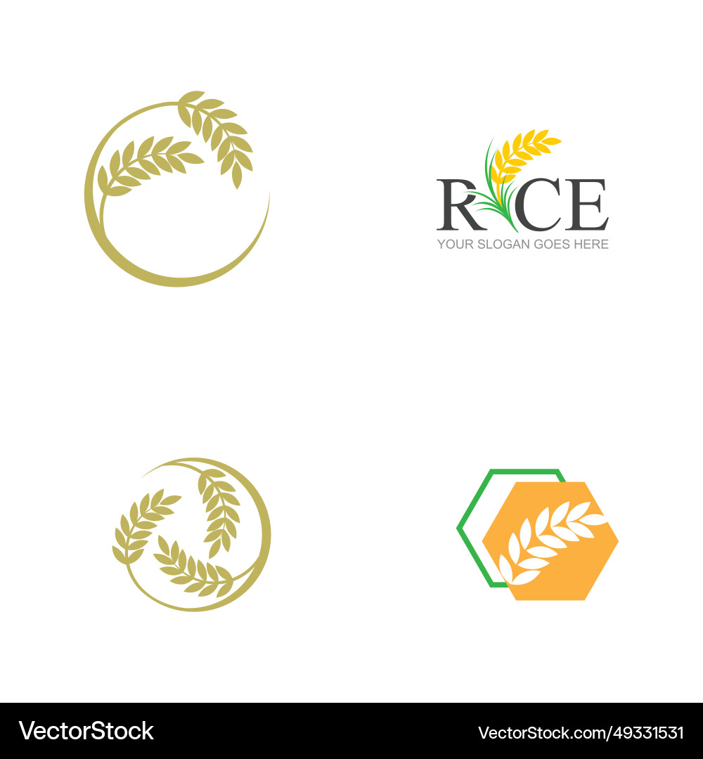 Rice or wheat grain agriculture logo design Vector Image