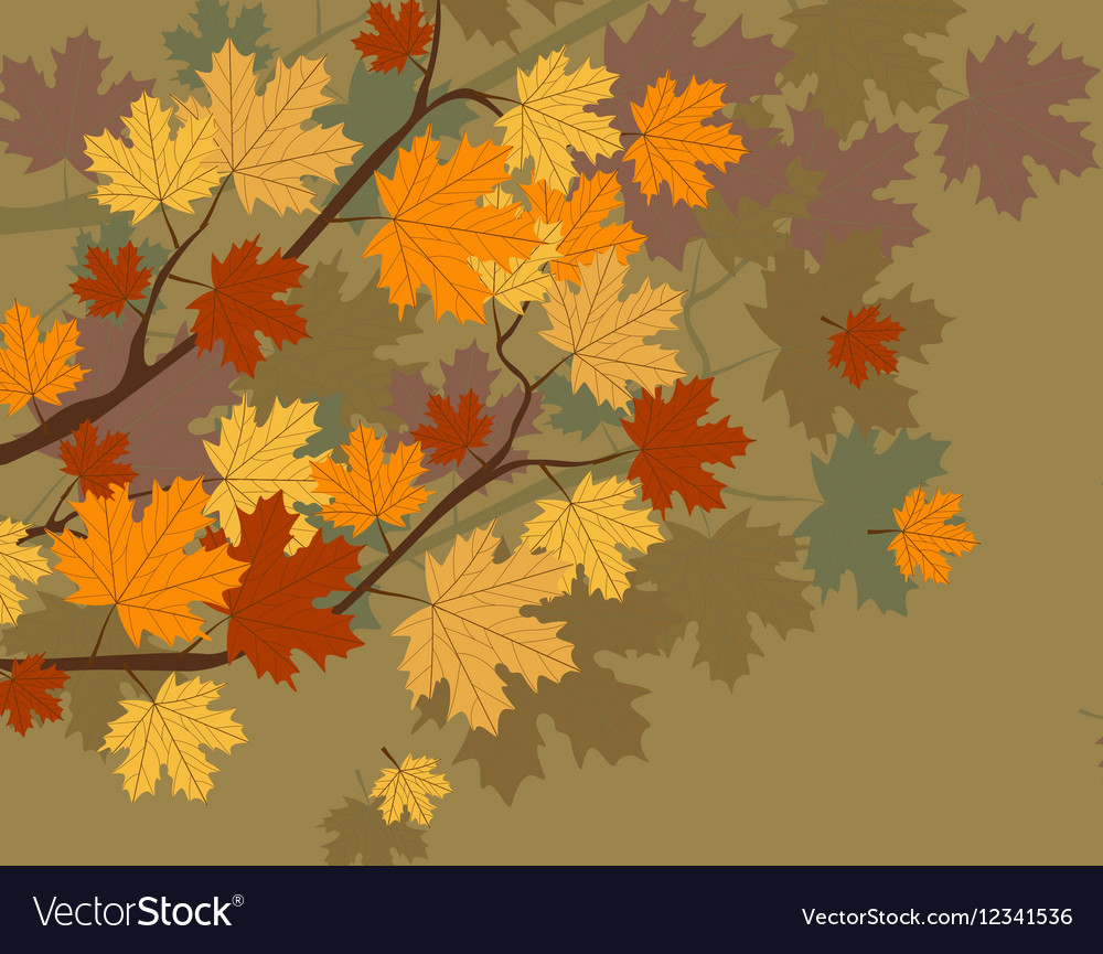 Orange autumn maple leaves Royalty Free Vector Image