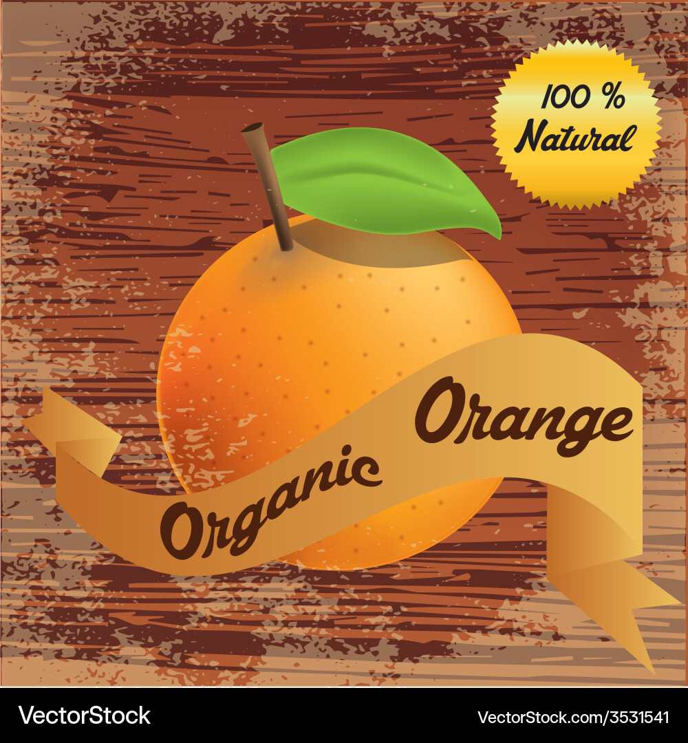 An isolated orange and a ribbon with text Vector Image