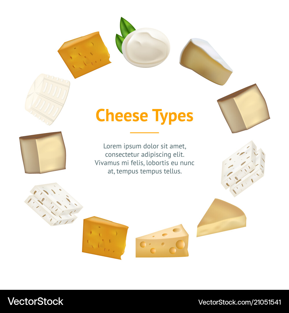 Realistic detailed 3d cheese banner card circle Vector Image
