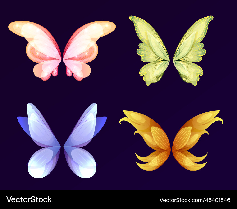 Different wings of fairy Royalty Free Vector Image