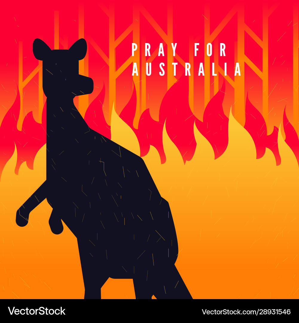 Pray for australia banner forest in fire burning Vector Image