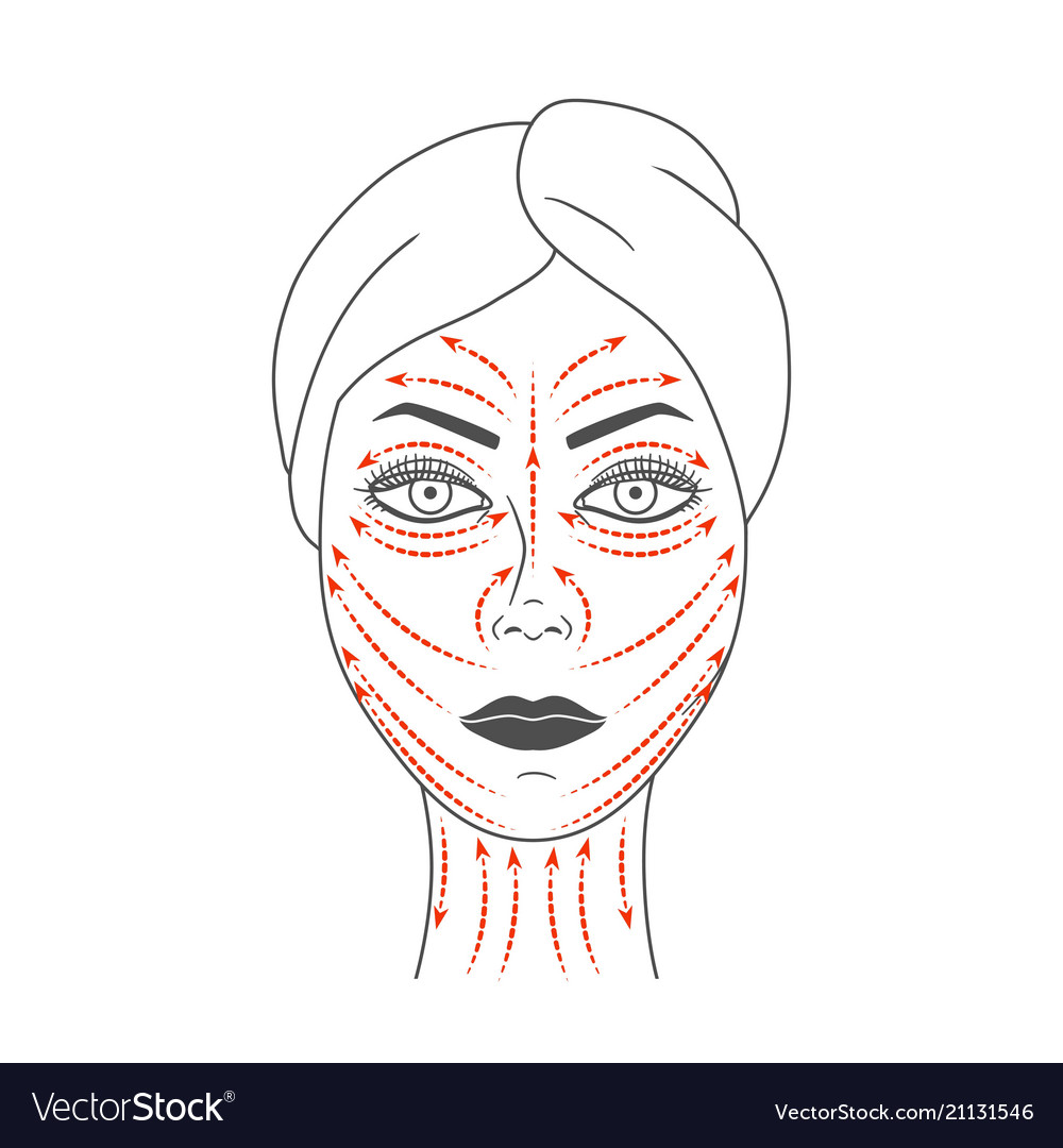 Schematic Representation Facial Massage Lines Vector Image