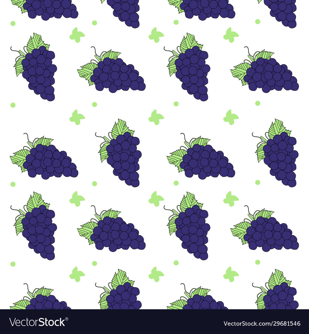 Seamless pattern grape background Royalty Free Vector Image