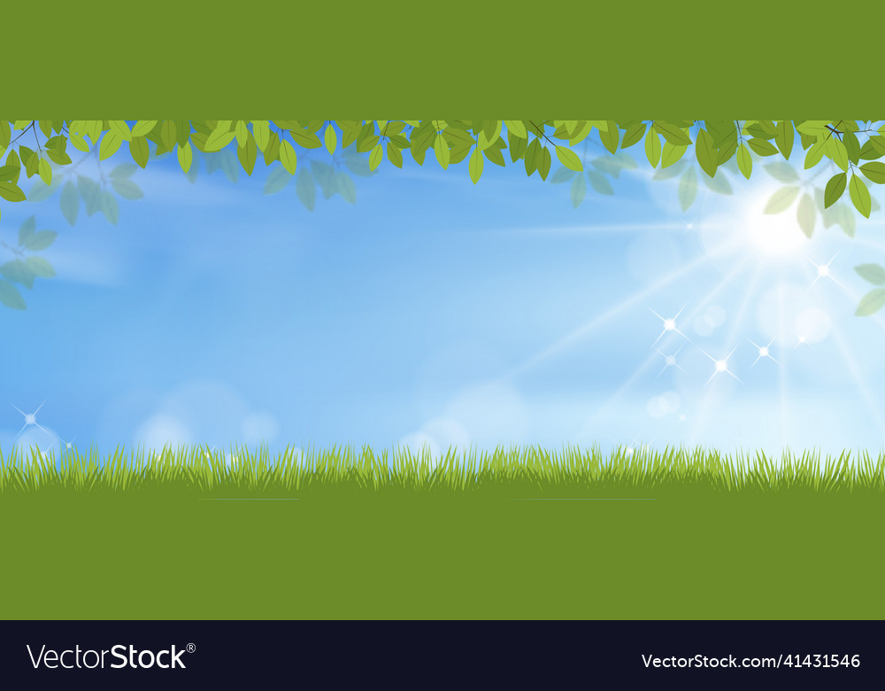 Spring background with grass field landscape Vector Image