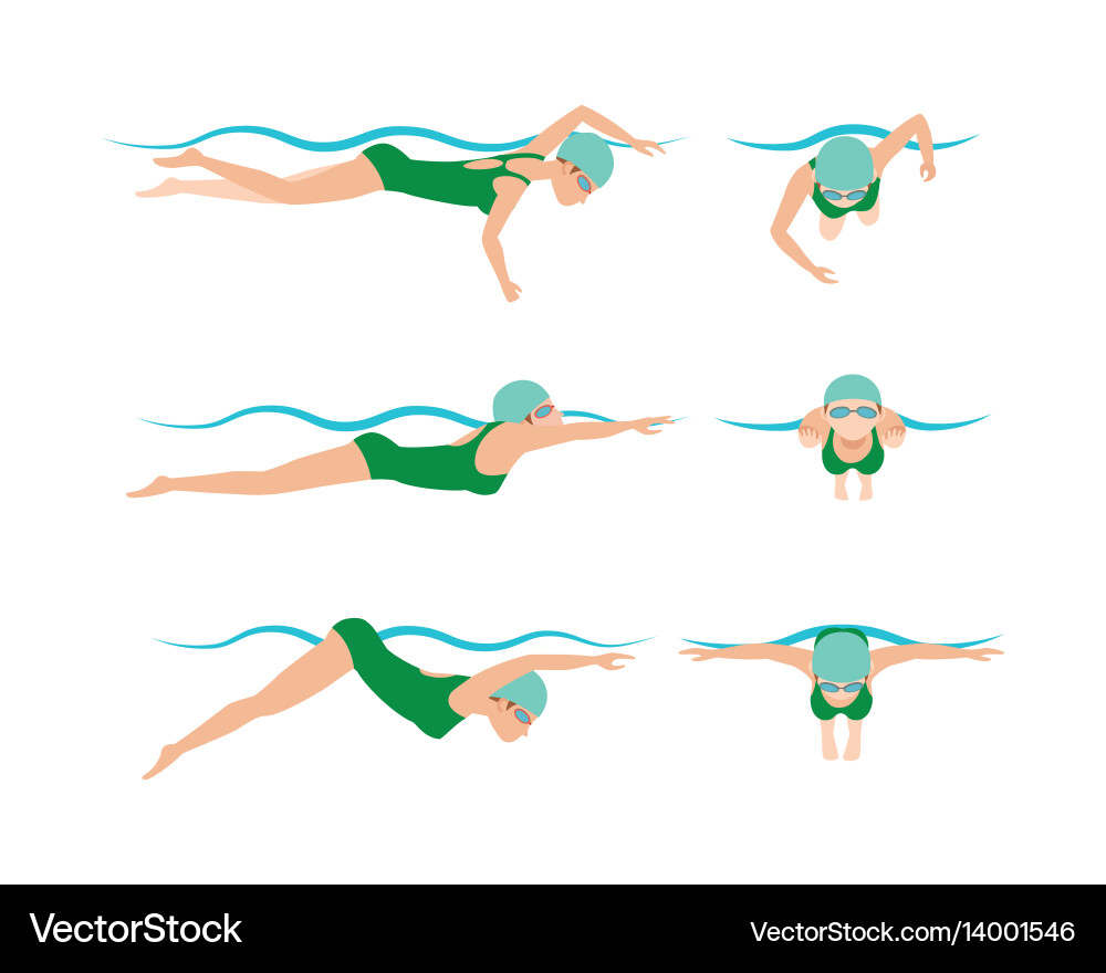 Swimming style scheme Royalty Free Vector Image