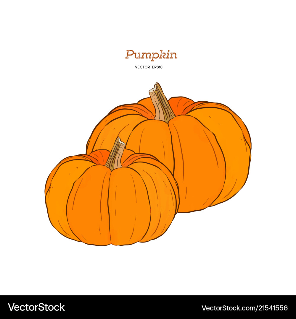 Ector hand drawn set of pumpkin Royalty Free Vector Image