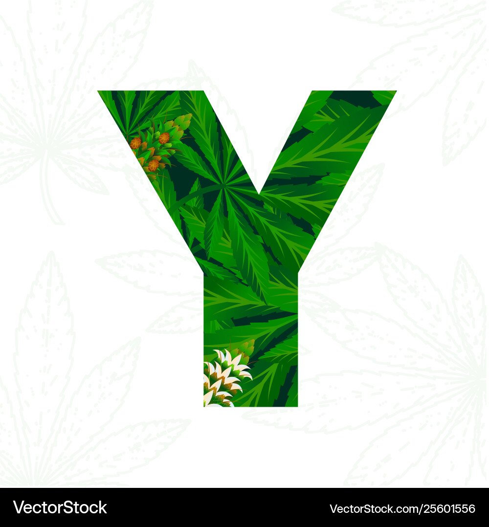 Letter with cannabis leaf for logo design Vector Image