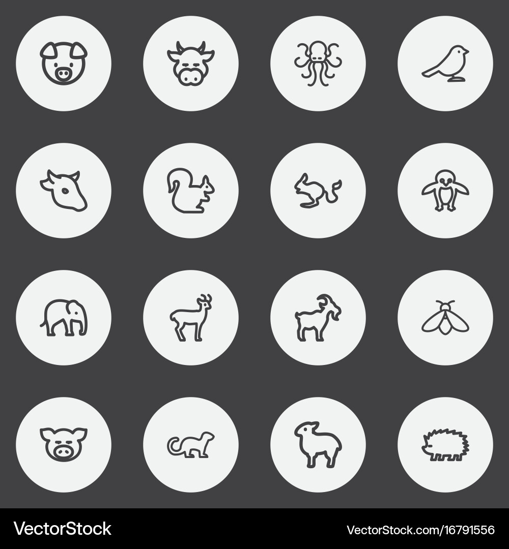 Set 16 editable animal outline icons includes Vector Image