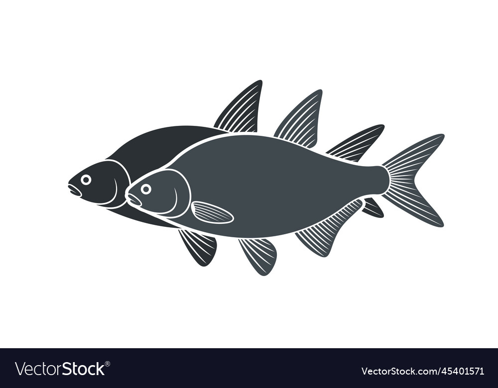 Bream Royalty Free Vector Image - VectorStock