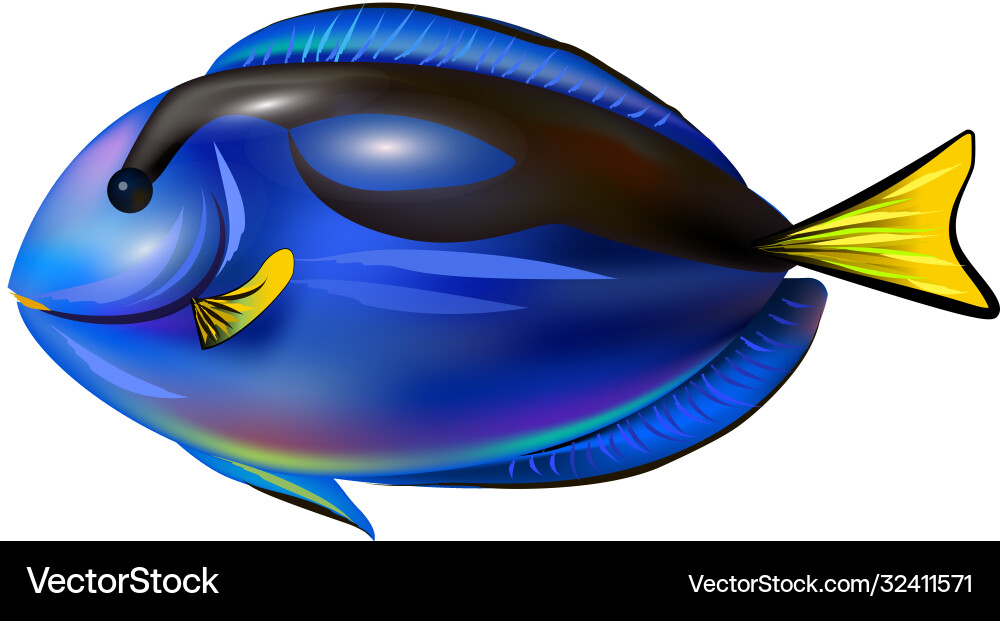 Tropical exotic blue fish colorful Royalty Free Vector Image