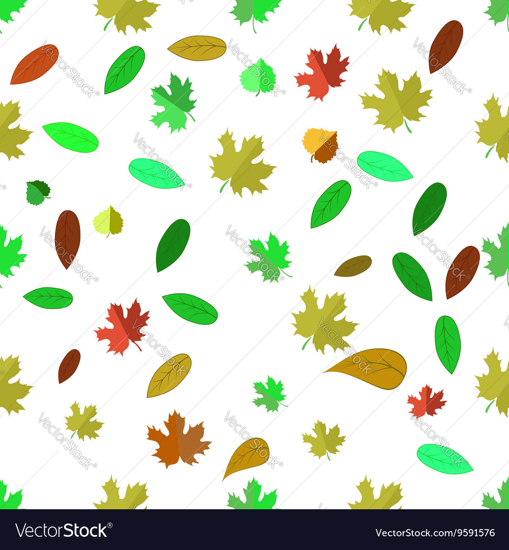 Seamless different leaves pattern Royalty Free Vector Image
