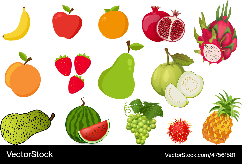 Fruit collection in flat Royalty Free Vector Image