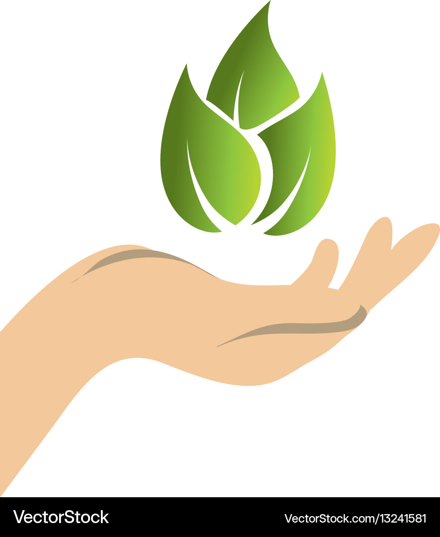 Hands human with leafs plant ecology symbol Vector Image