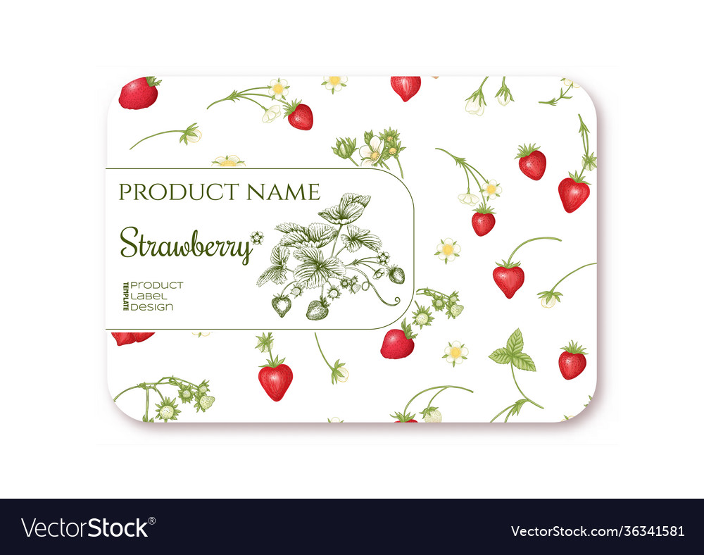 malina-lab-1-2-zz-royalty-free-vector-image-vectorstock