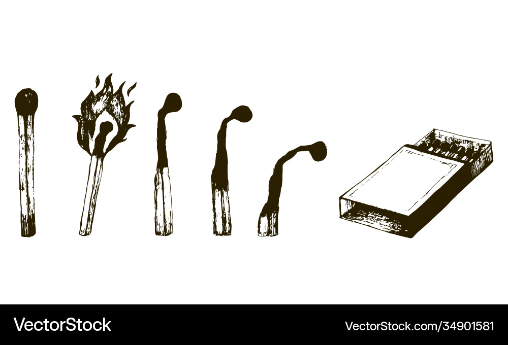 Safety matches collection with burning match with Vector Image