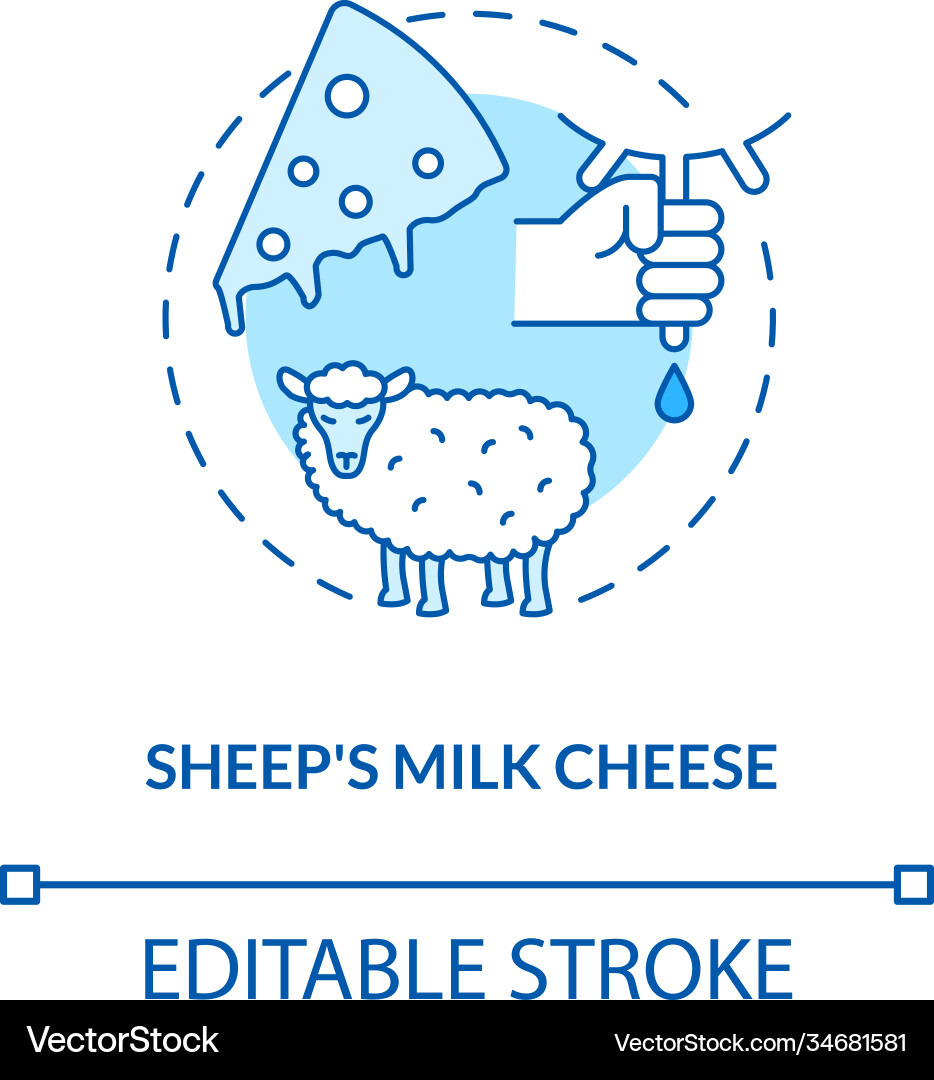 Sheep milk cheese turquoise concept icon Vector Image