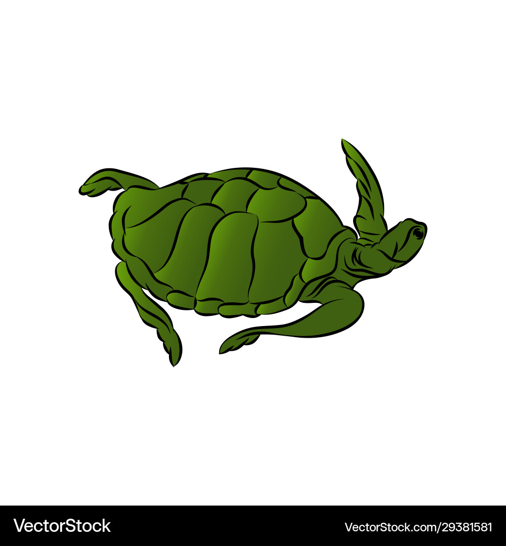 Turtle icon sign symbol on white background Vector Image
