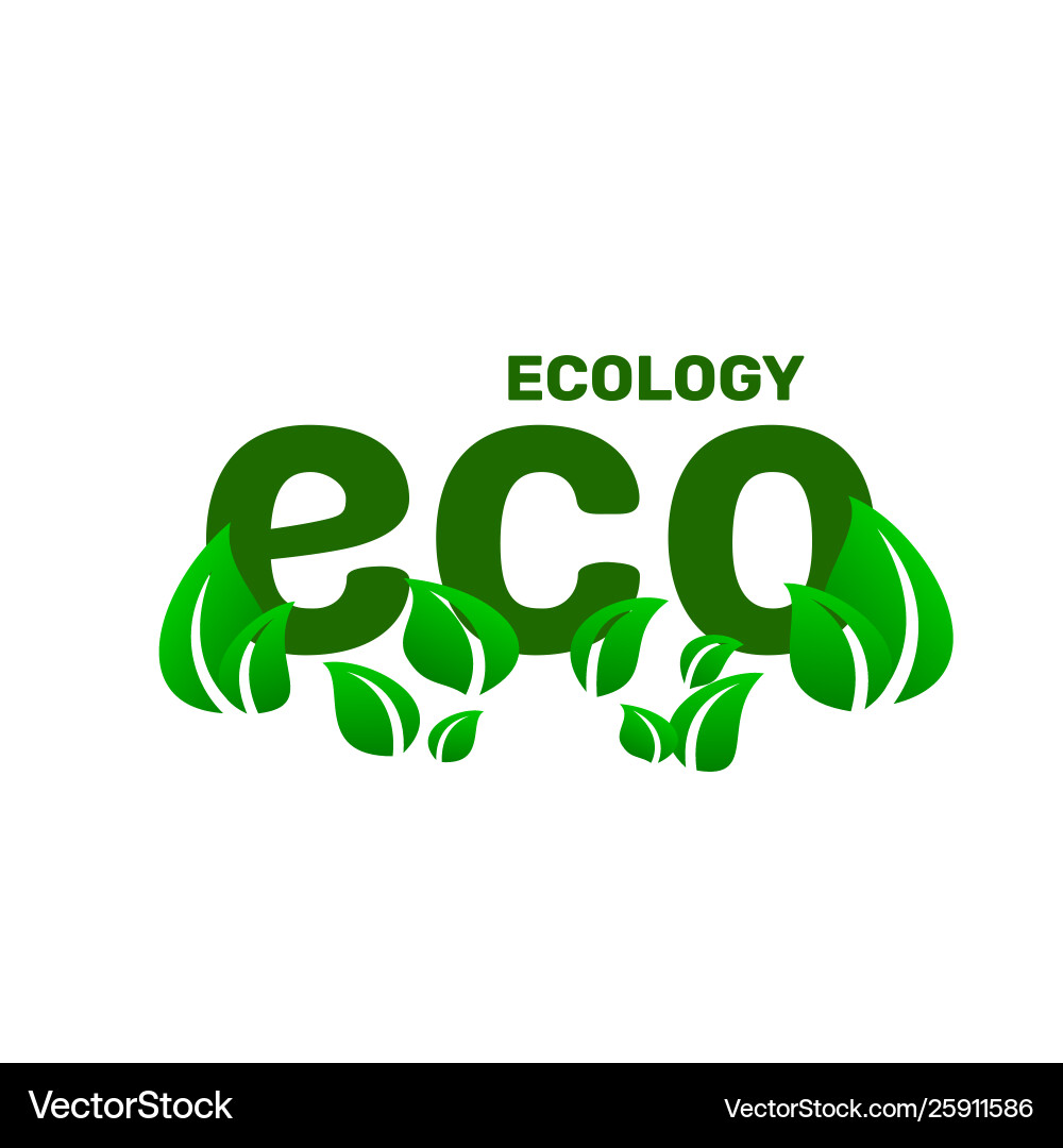 Eco green organic leaf a tree icon on white Vector Image