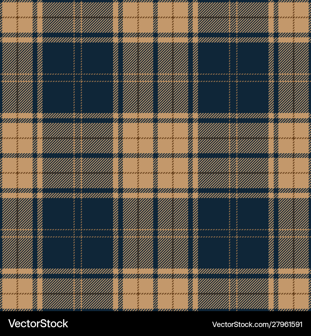 Blue and beige tartan plaid scottish pattern Vector Image